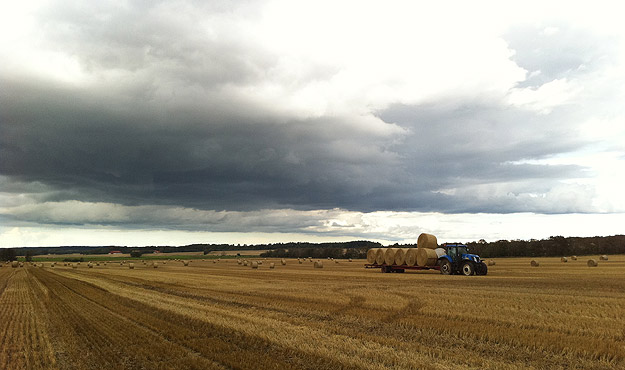Herregård - Tårs, Hjørring - Boller Hovedgaard